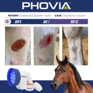 Equine - Phovia Fluorescent Light Therapy