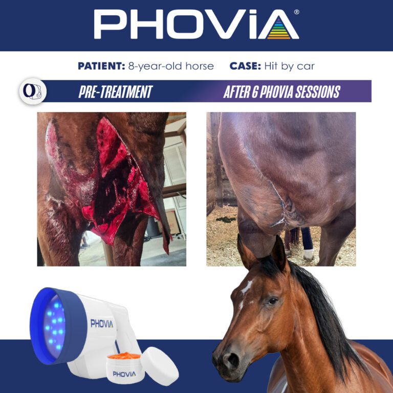 Equine - Phovia Fluorescent Light Therapy